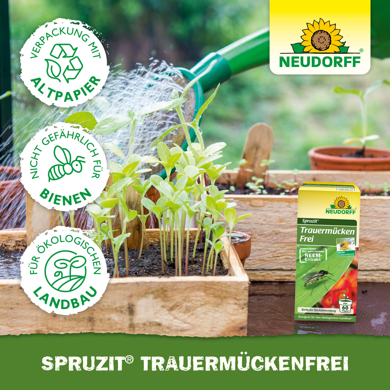 Was Tun Gegen Trauermucken